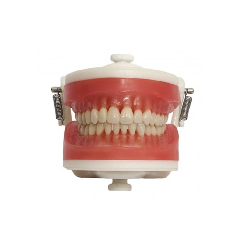 Combo Manequim Top Dentística PD100 + Boca de Perio 1 + Gengiva ...